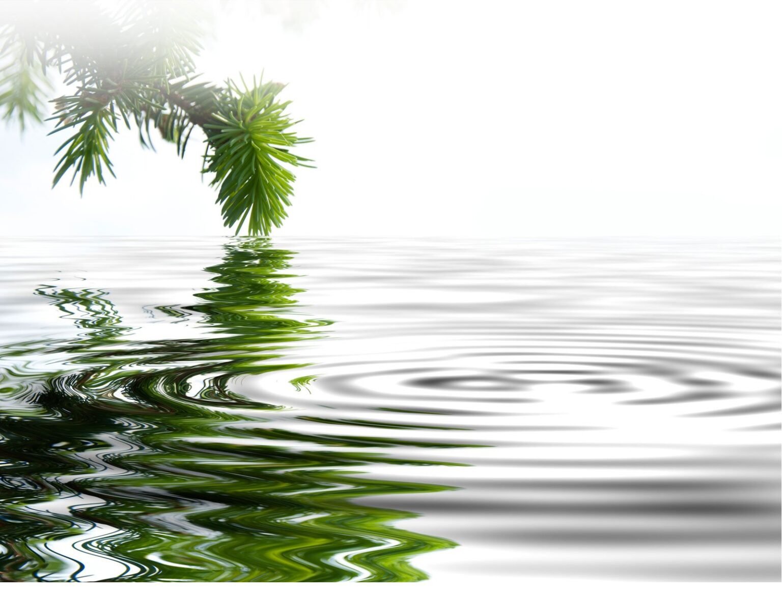 News – Siltech Corporation